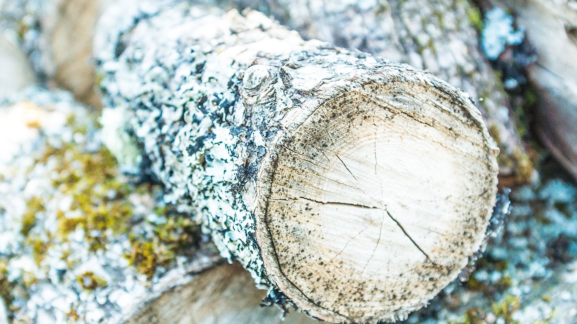 How To Copy Sql Server Data To Elasticsearch Using Logstash Codeshare 
