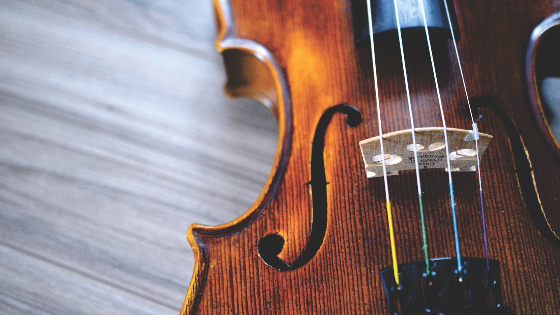 Write, test and share .NET code in your browser with dotnetfiddle ...