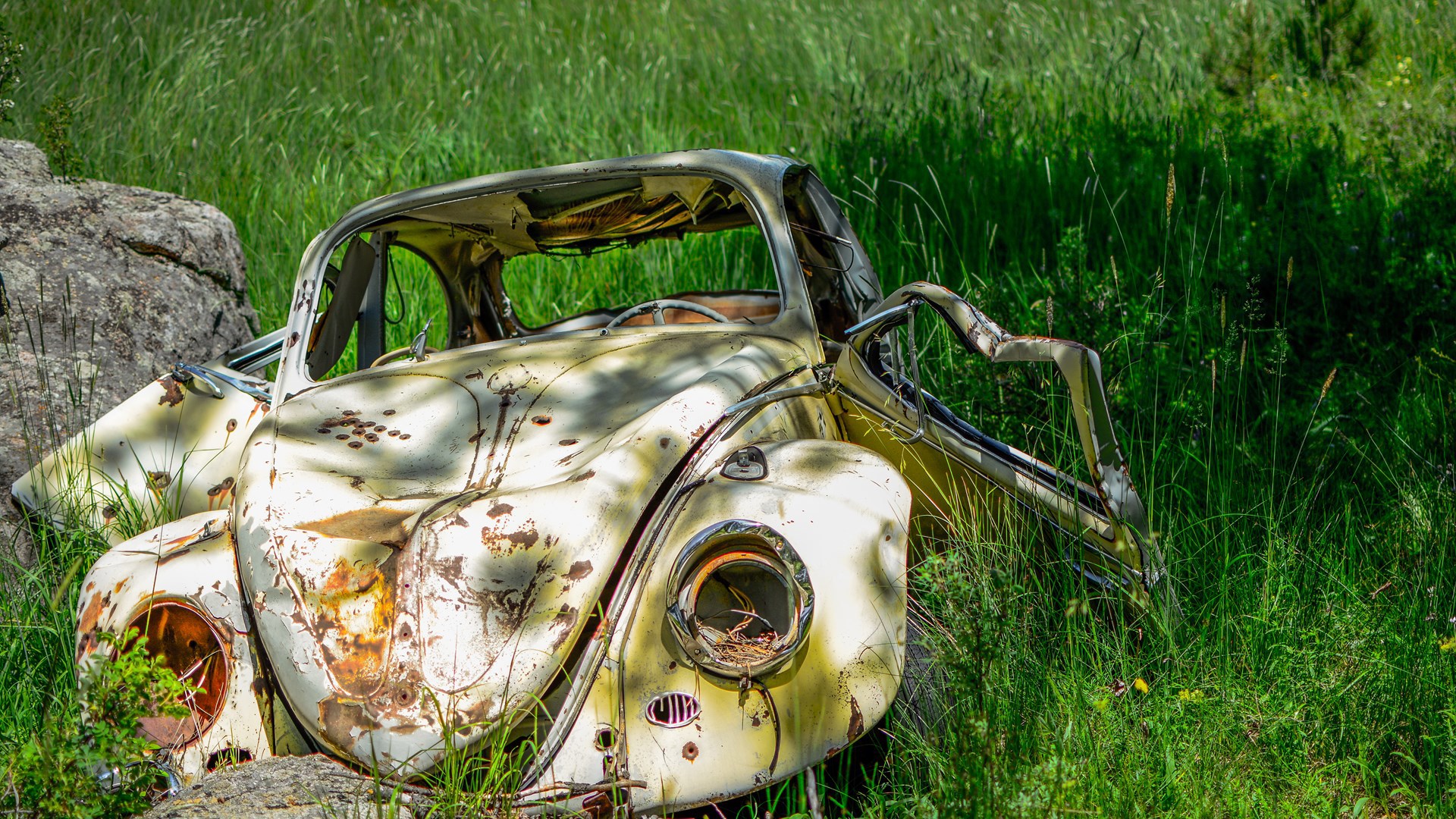 How to reset the Umbraco admin account password | codeshare