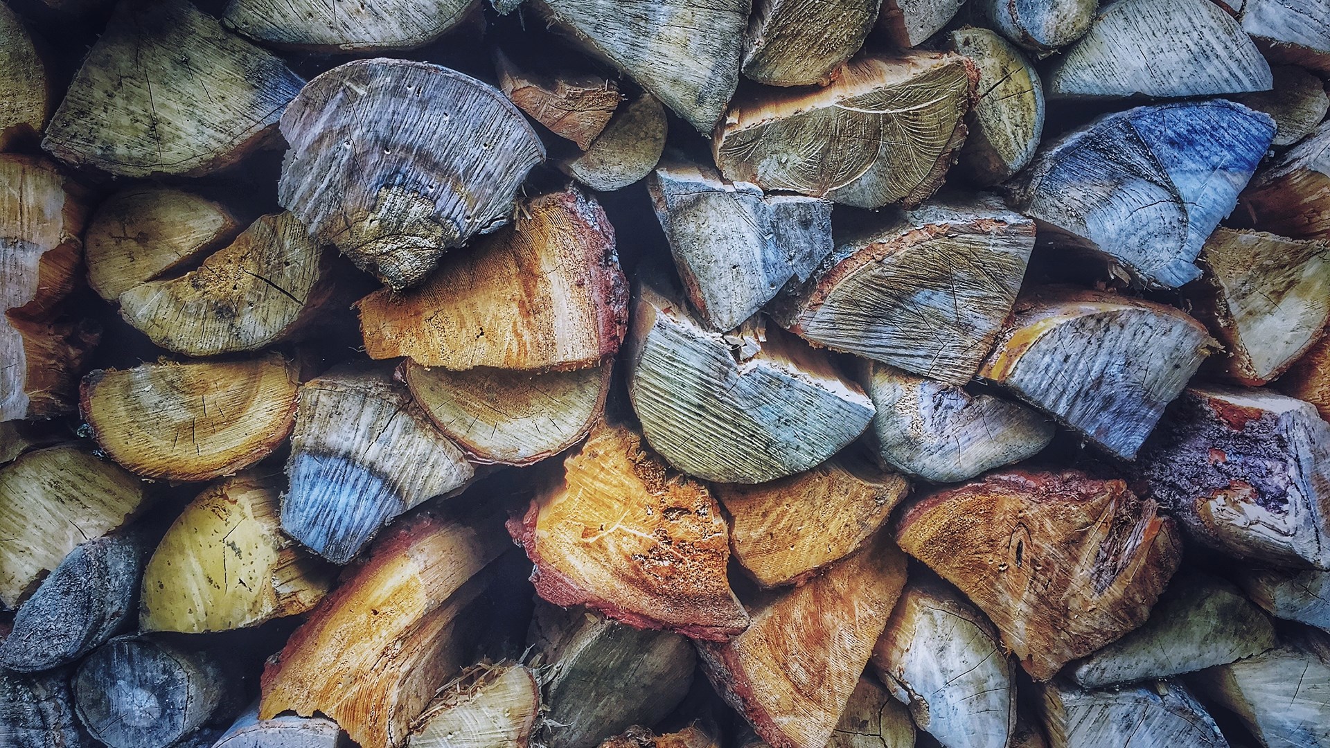 How to set up and configure error logging in .NET with log4net | codeshare